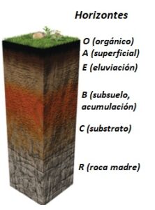 El perfil del suelo – Educación Ambiental en RD
